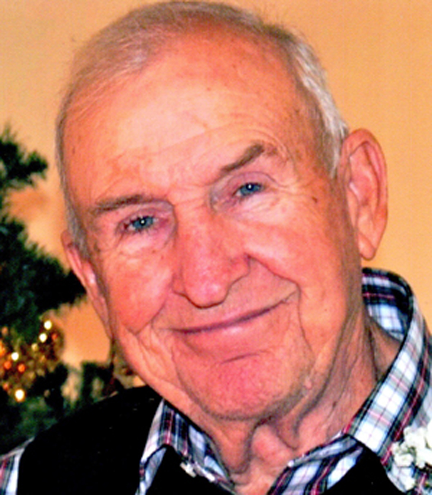 Donald E. Barger Sr. | News, Sports, Jobs - Post Journal